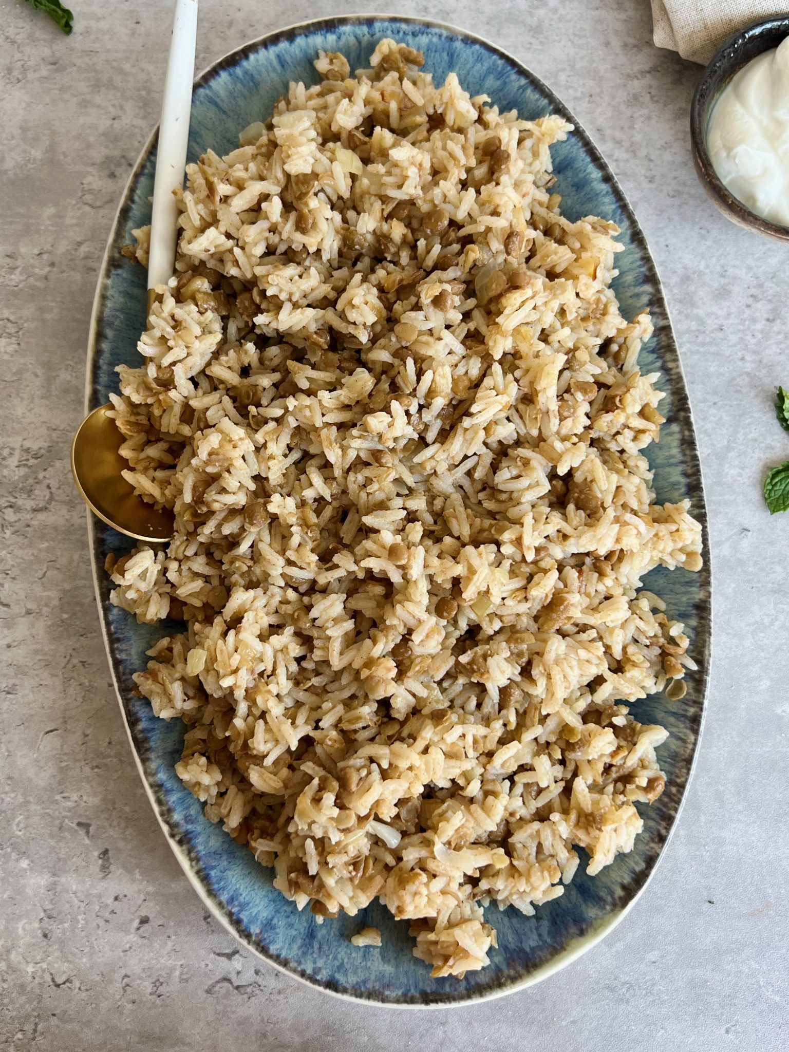 Mujadara (Rice and Lentils) - Something Nutritious