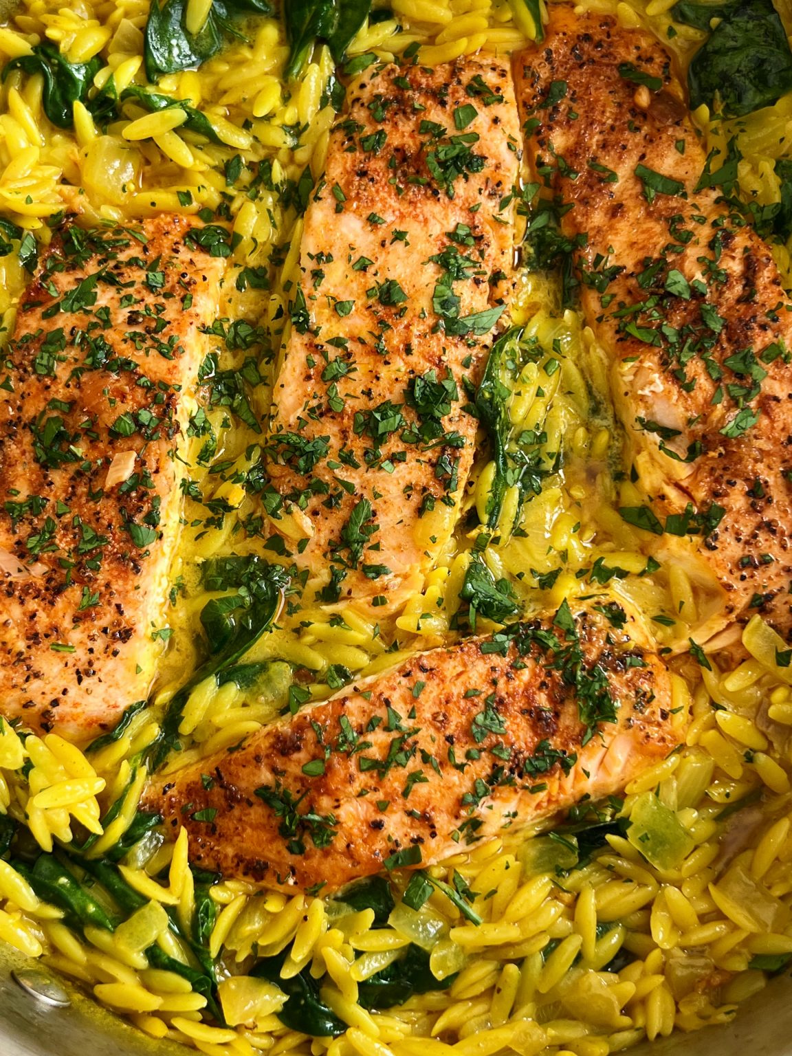 One-Pan Creamy Coconut Orzo and Salmon - Something Nutritious