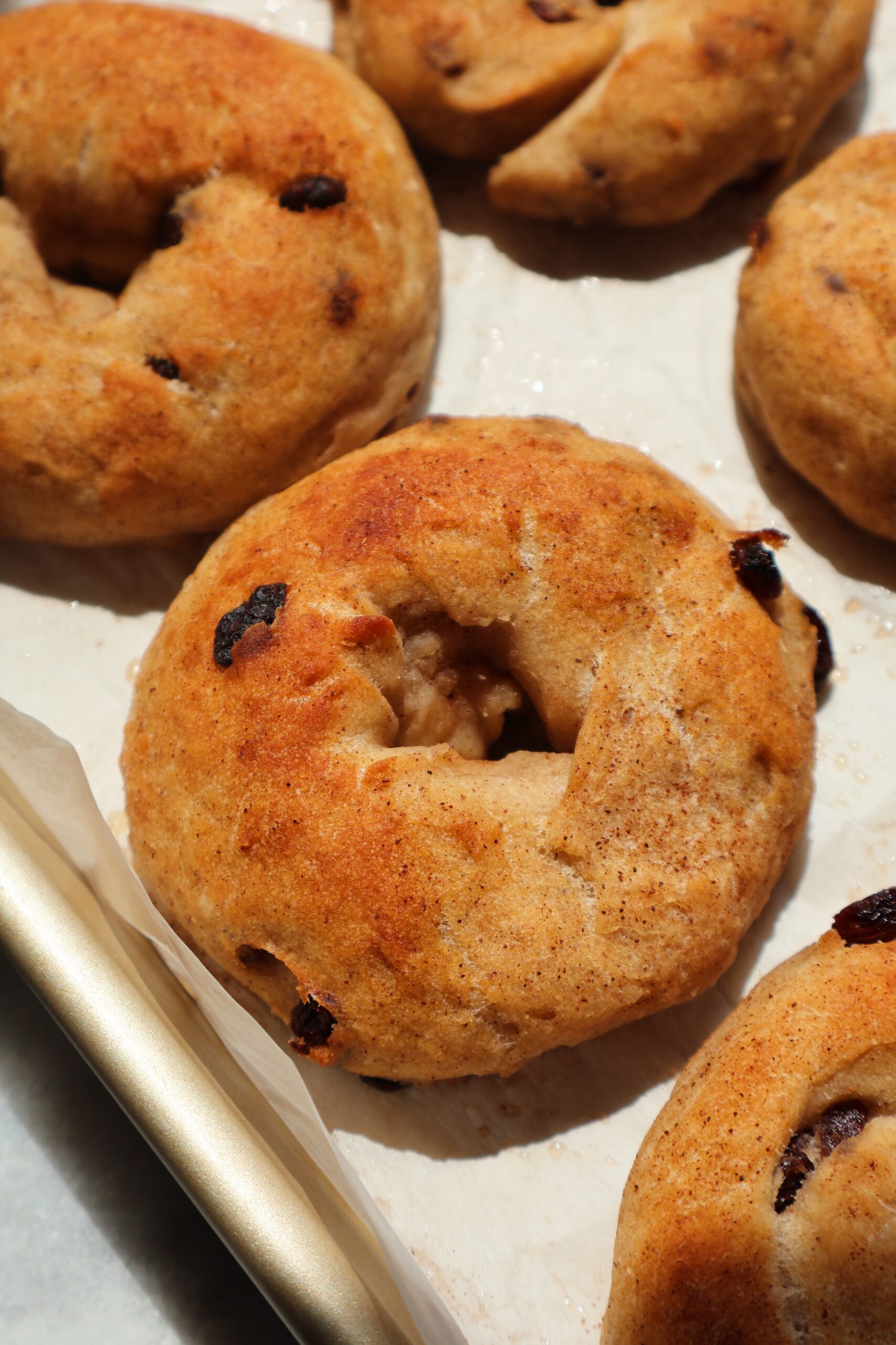 Cinnamon Raisin Yogurt Bagels - Something Nutritious