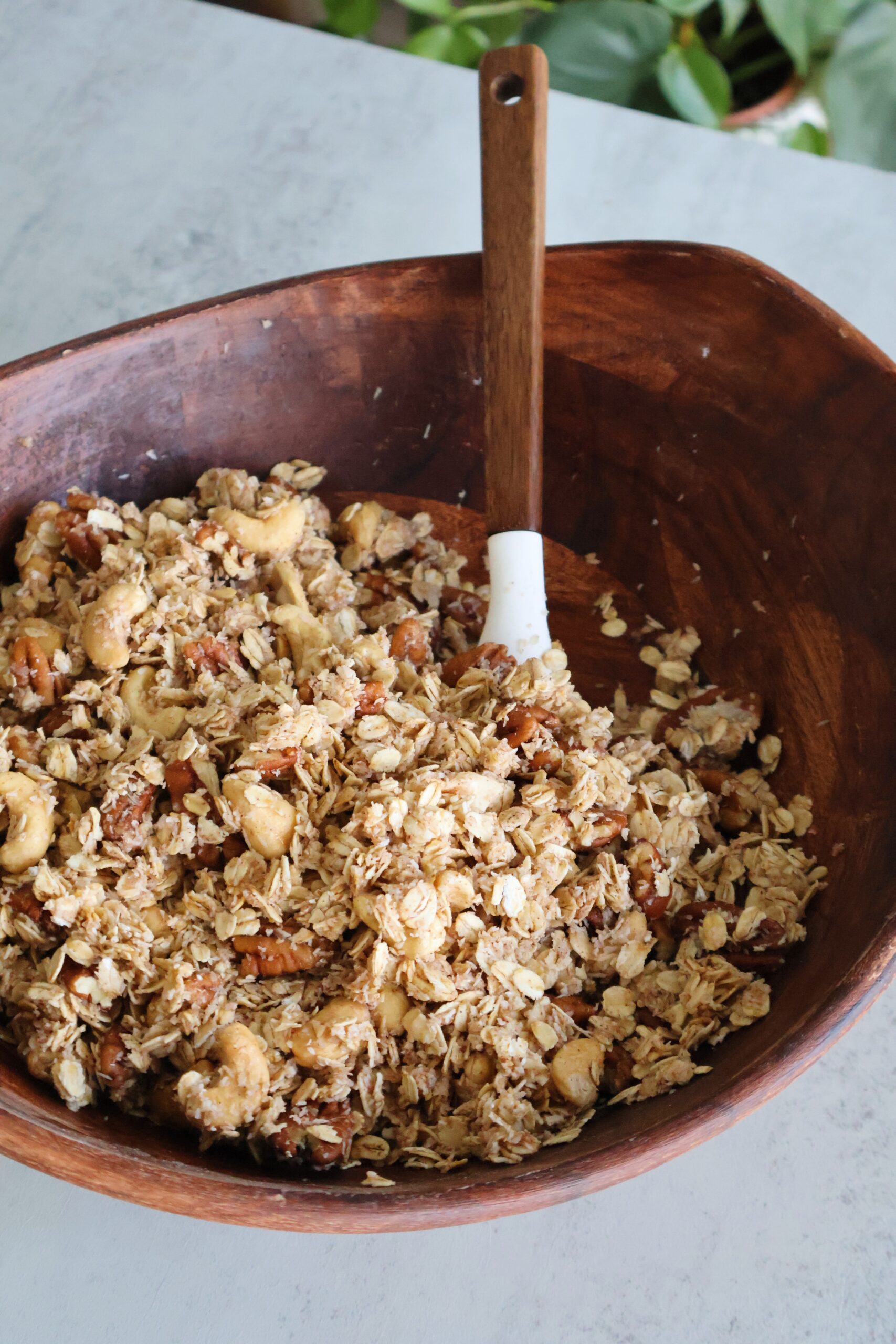 Toasted Coconut Granola - Something Nutritious