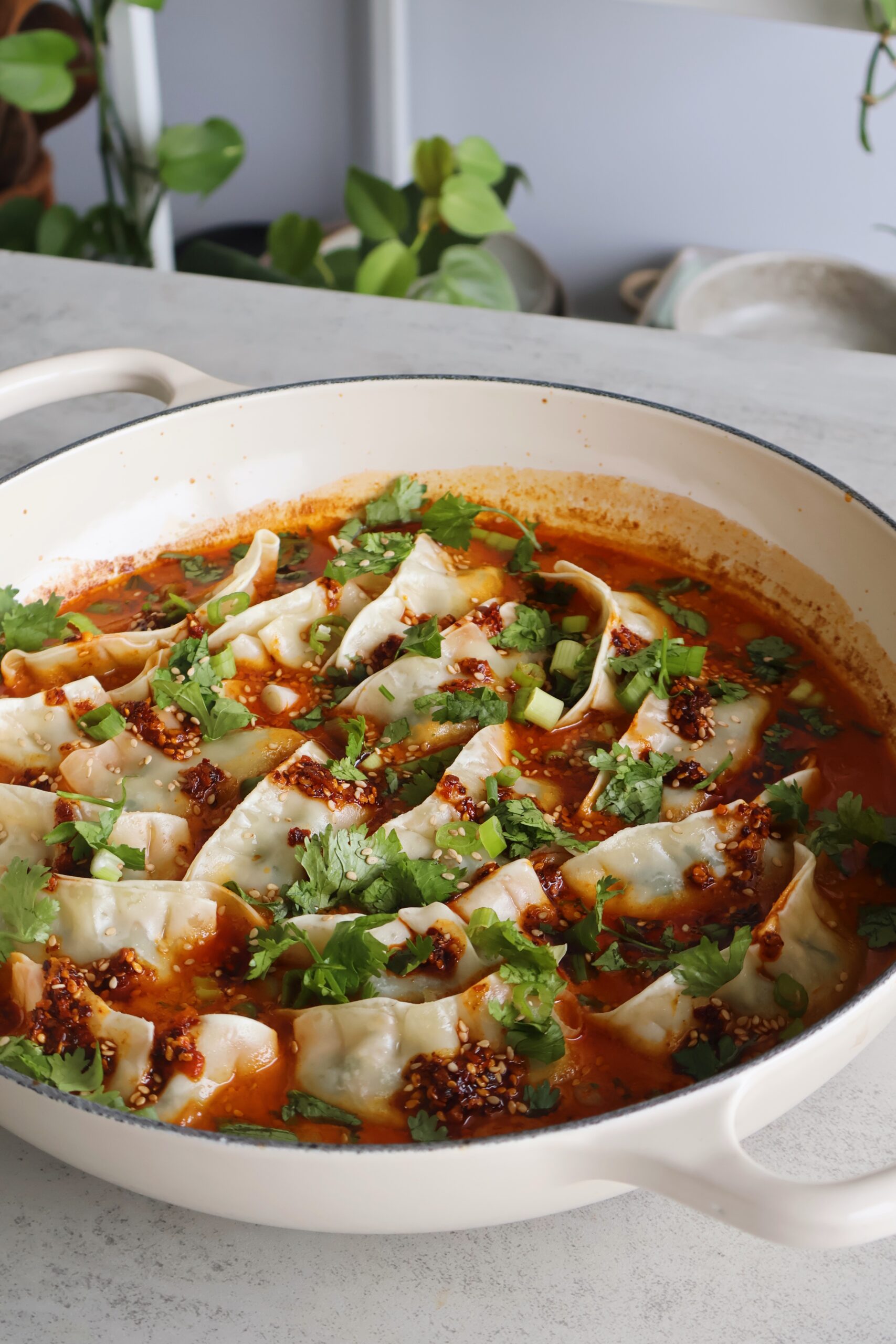 One-pan Dumplings - Something Nutritious