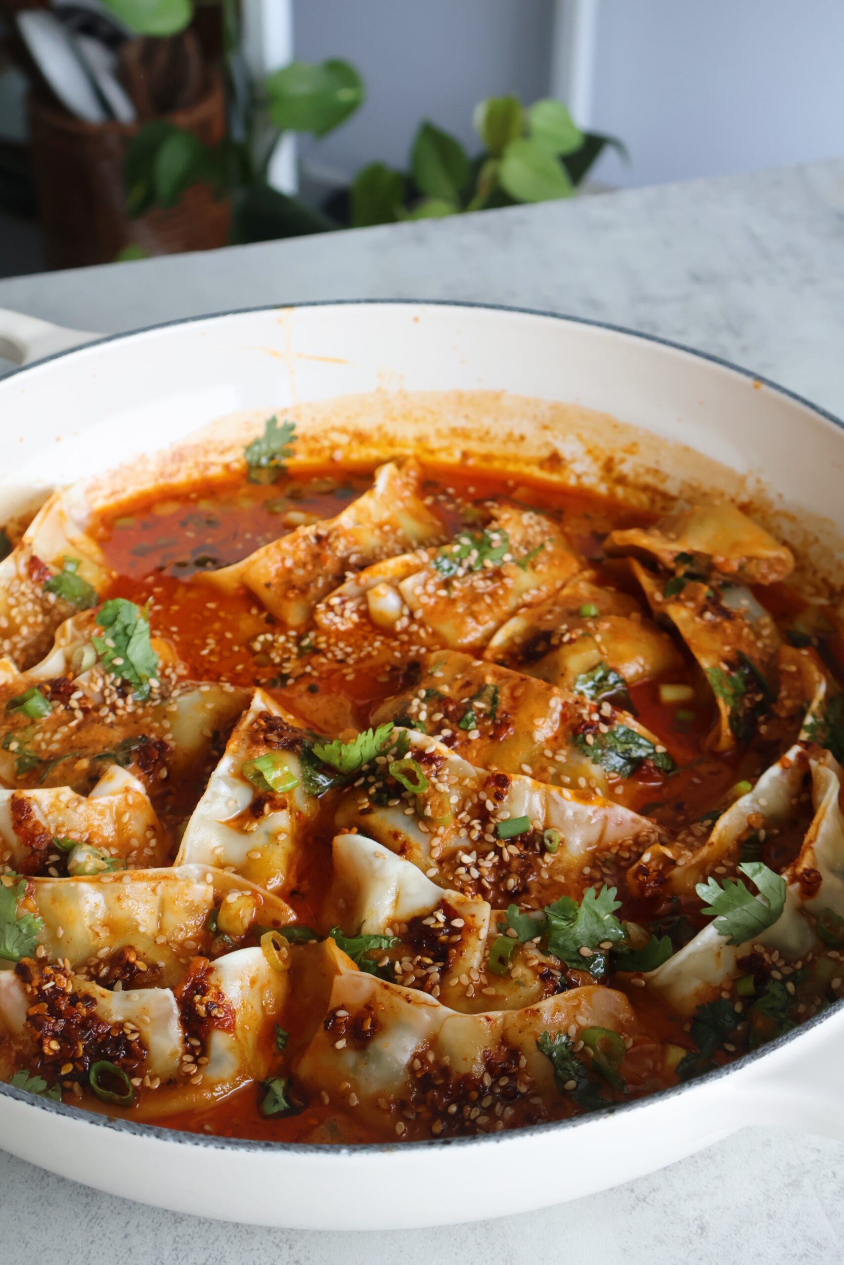 One-pan Dumplings - Something Nutritious